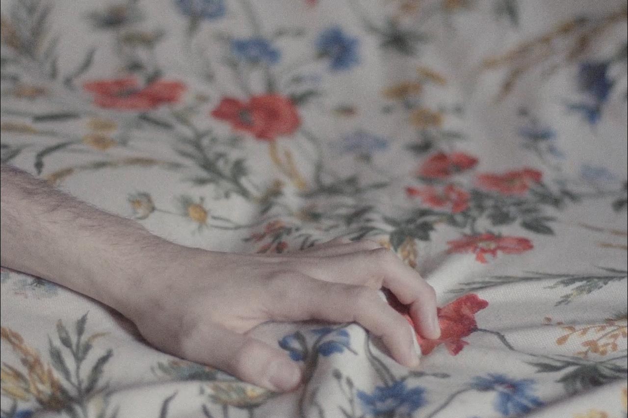 [website coming soon] — Whispering Nature